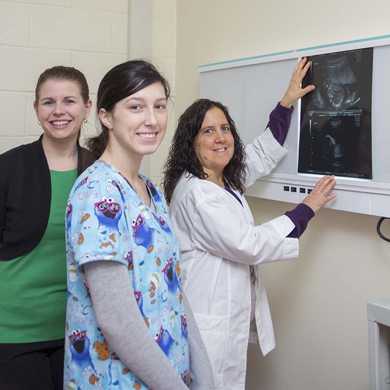 HACC, Central Pennsylvania's Community College Home Page
