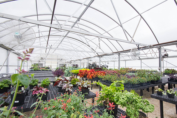 Naming Opportunities Harrisburg Campus